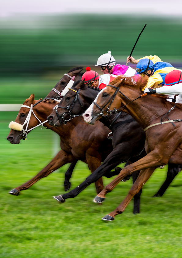 Barron River Hotel, Stratford QLD – A Gateway to Cairns' Heritage
